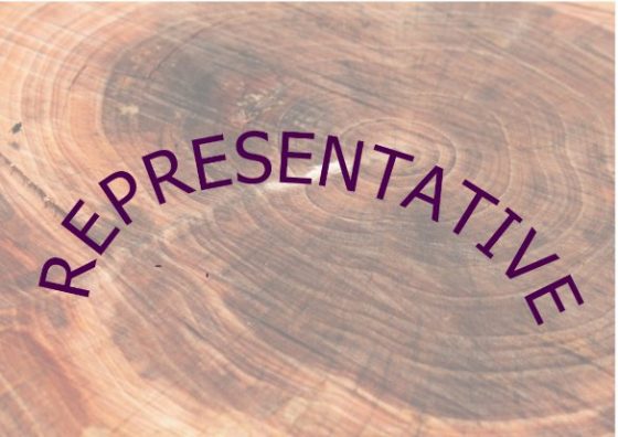 Serving As An Ambassador | NicholsNotes